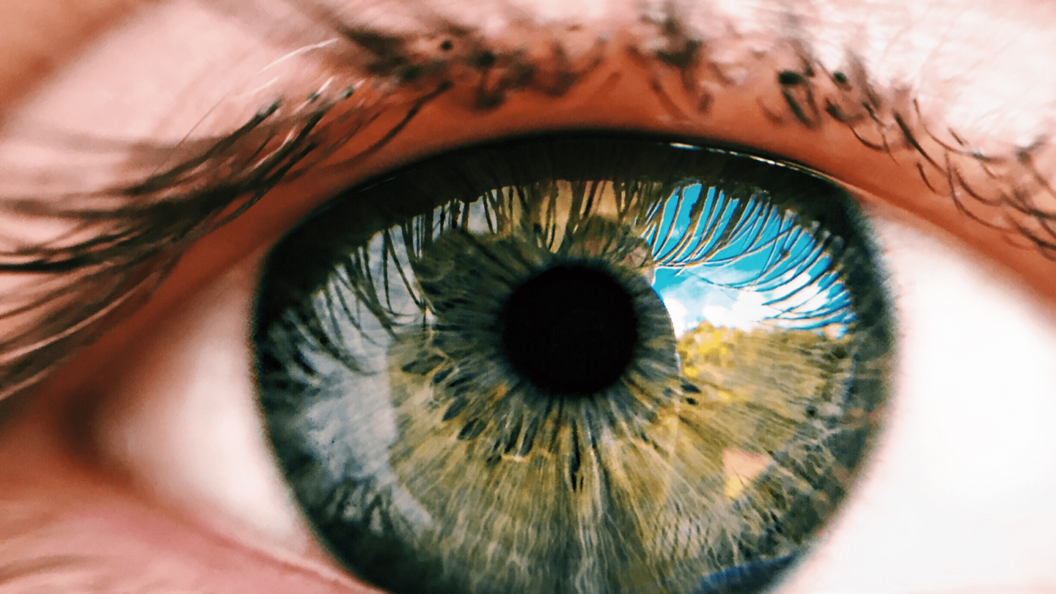 Rétinopathie pigmentaire : recouvrir la vue avec la thérapie ...